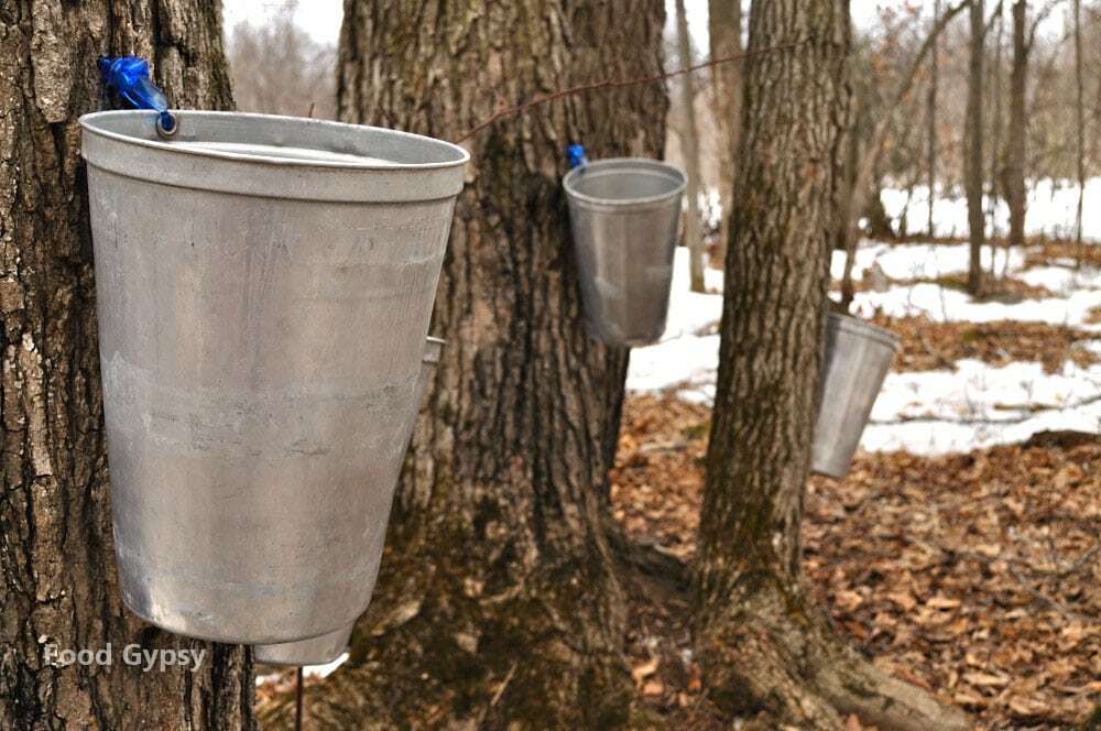 As Canadian as Maple Syrup! - Food Gypsy